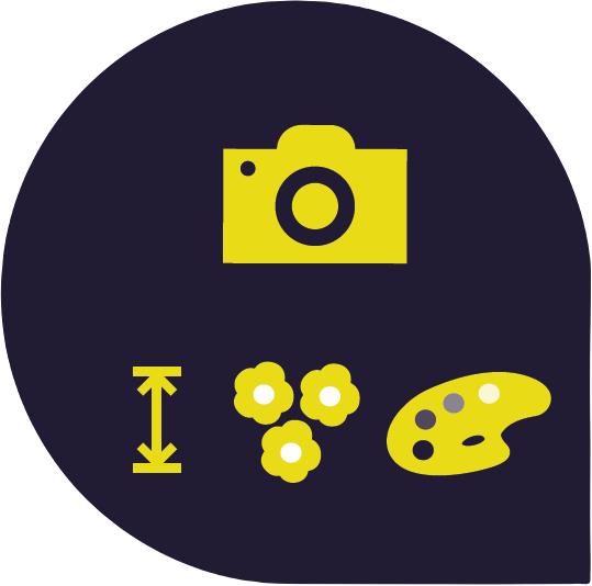 WPS | Time Changing Solutions